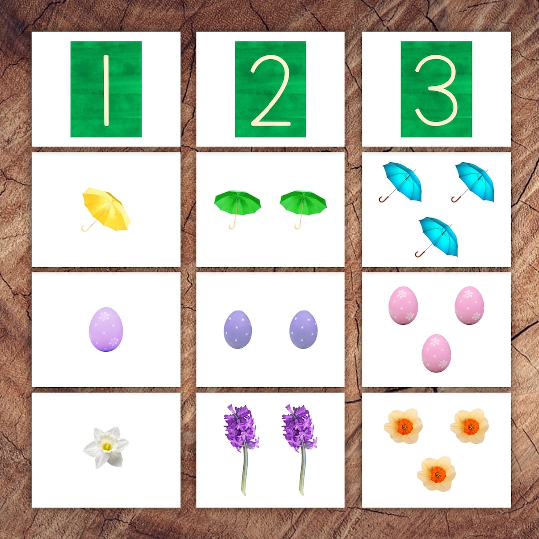 Spring Count and Sort Numbers 1-5, Toddler Math - Etsy