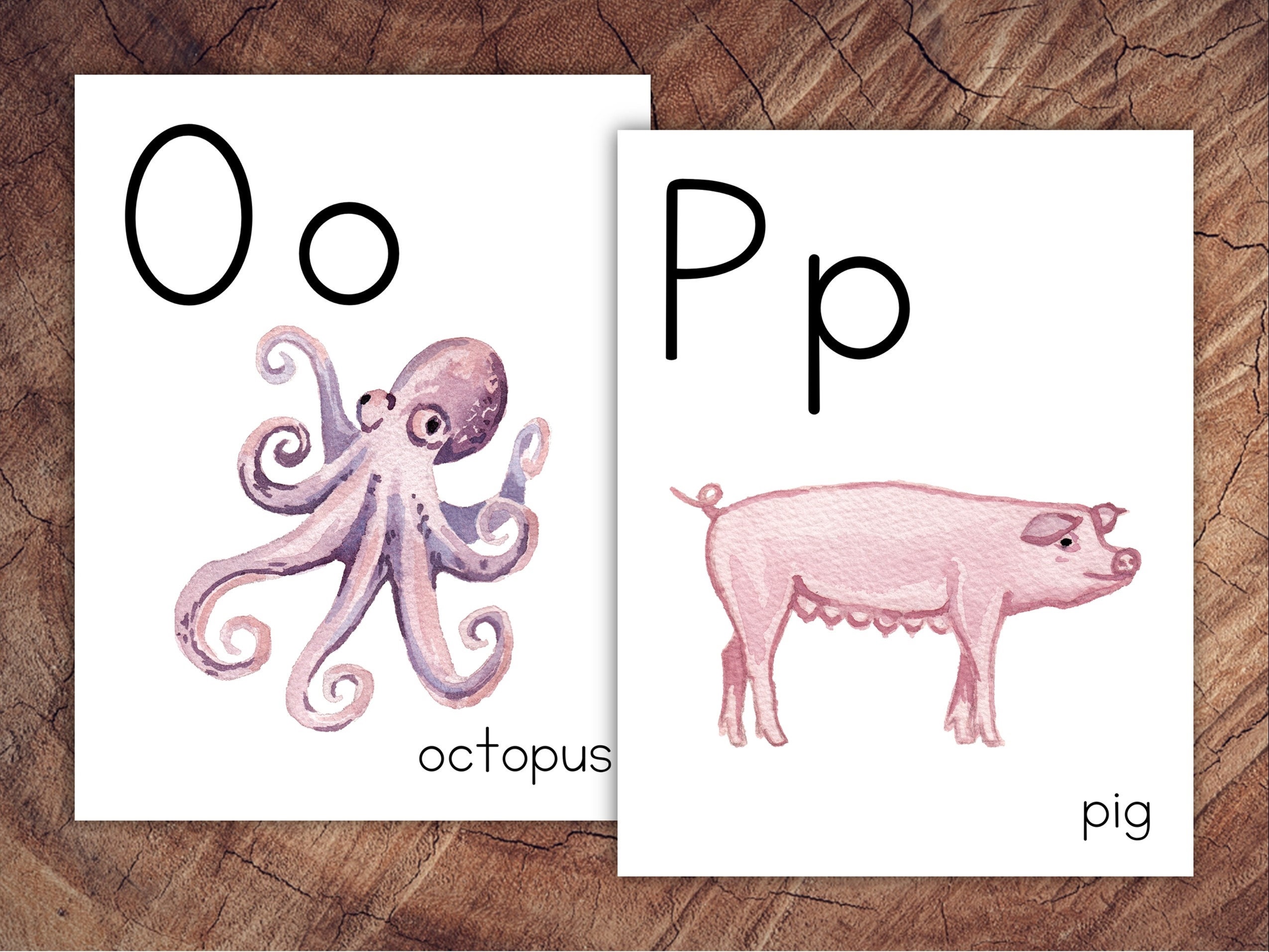 Animals of the World Alphabet Posters Large Format for | Etsy