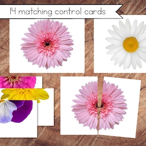 Flower Symmetry Puzzles, Matching Cards, Toddler Preschool Activity - Etsy