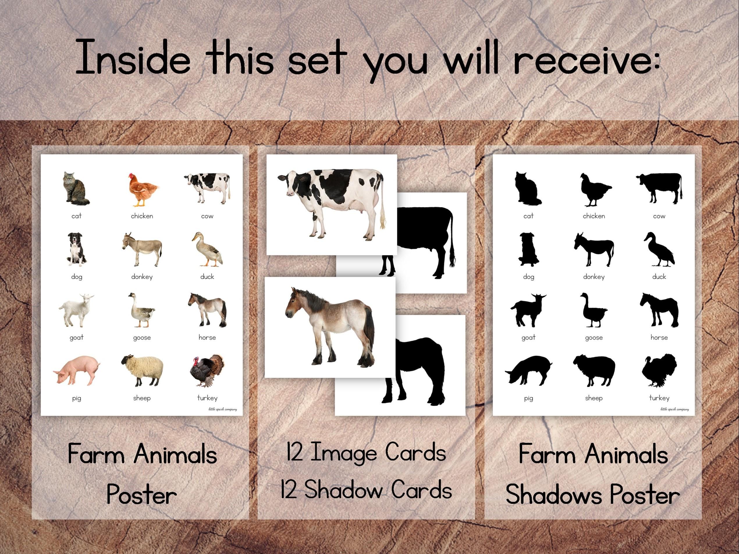 Farm Shadow Matching Cards, Silhouette Matching, Toddler Preschool ...