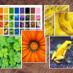 The BIG Colours in Nature Colour Sorting Set - Etsy