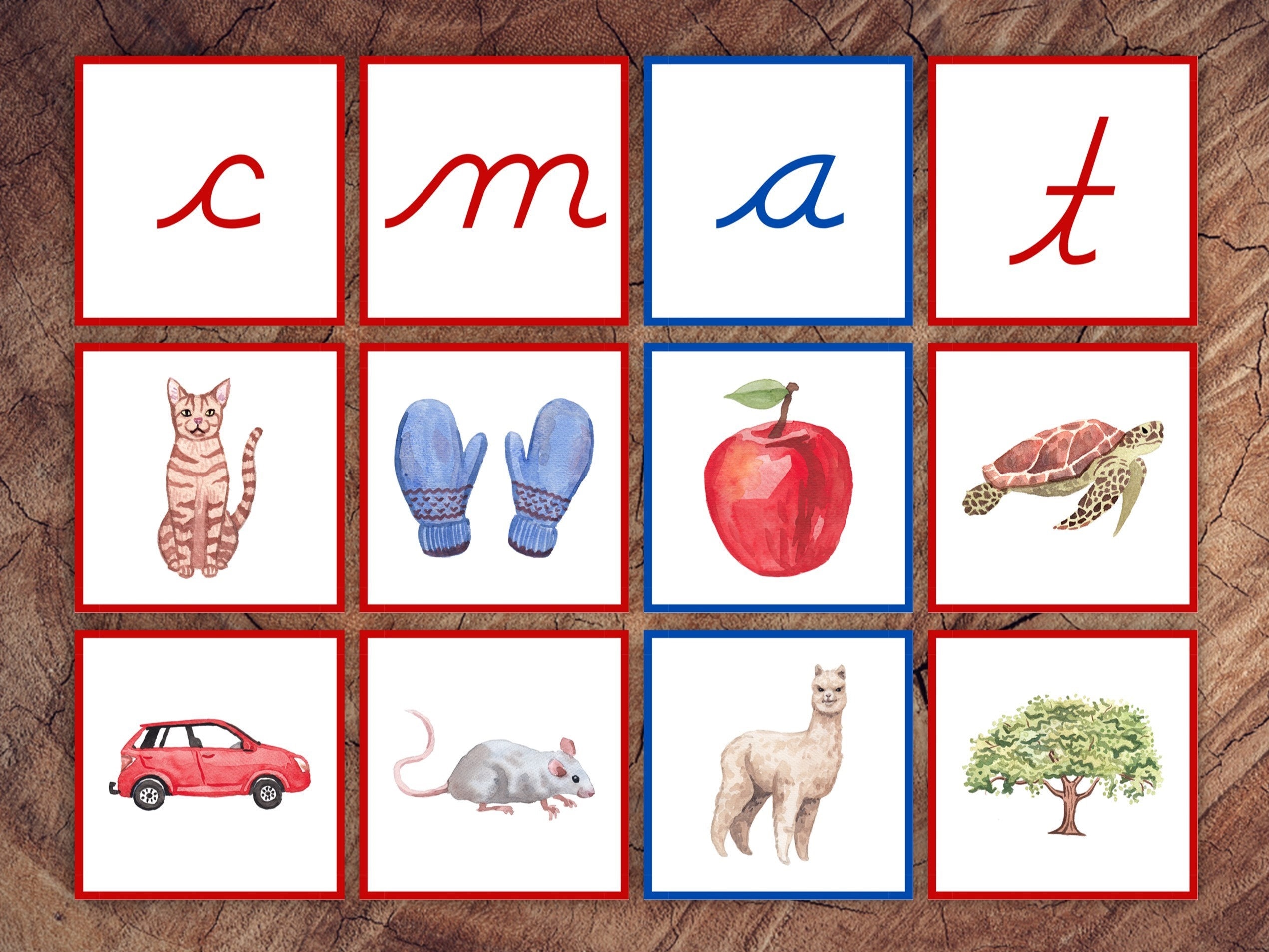 Beginning Letter Sounds Picture Sorting Card Set, Cursive Edition, Red ...