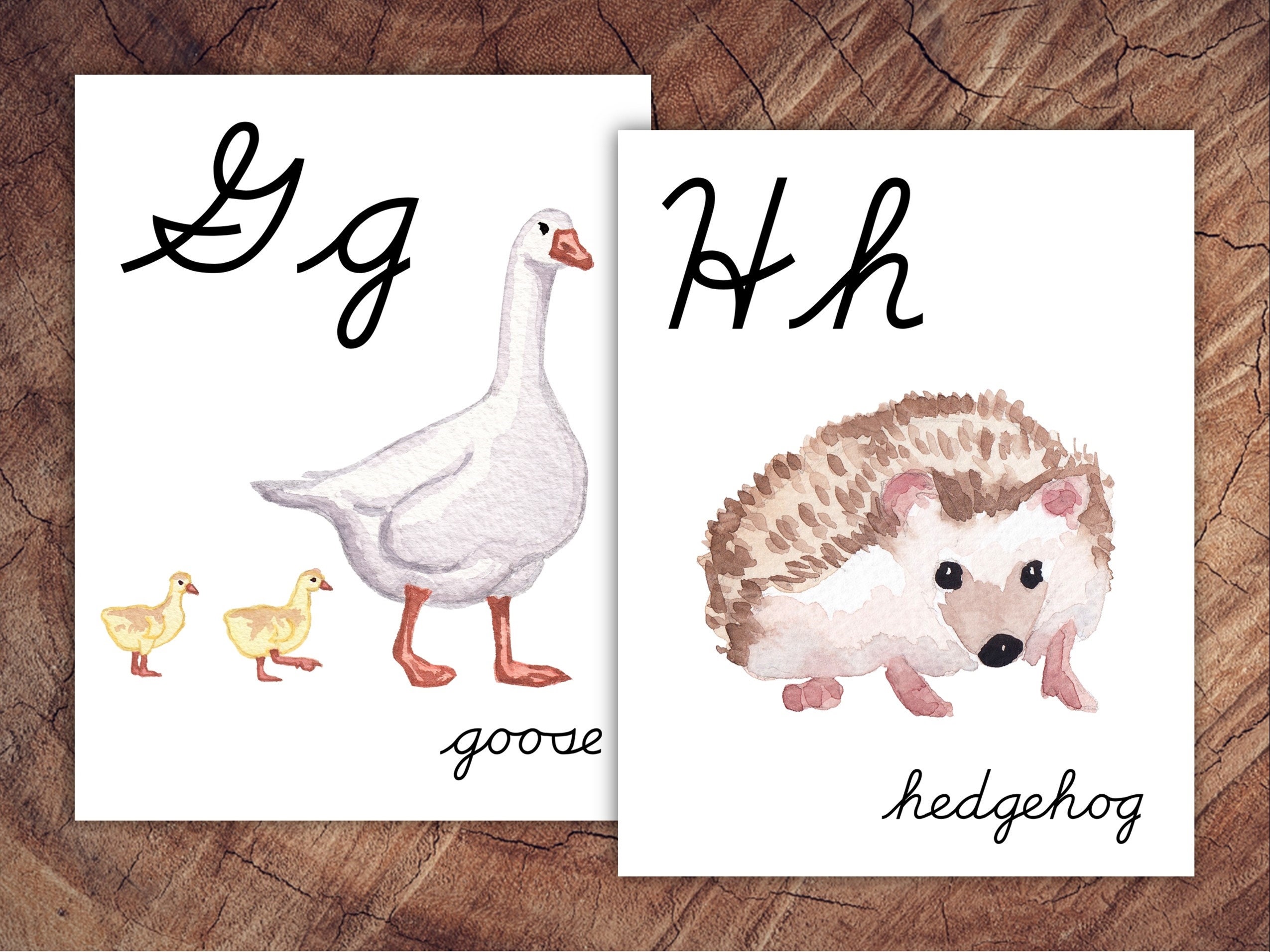 Animals of the World Alphabet Posters, CURSIVE, Large Format for ...
