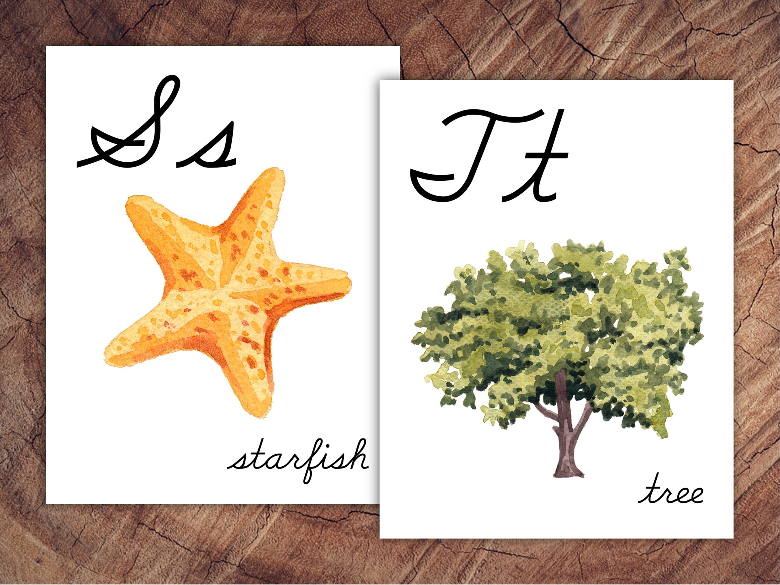 Cursive Alphabet Posters Large Format for Classroom Use | Etsy