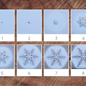 Snowflakes Bundle, Preschool Literacy, Math DIGITAL DOWNLOAD - Etsy