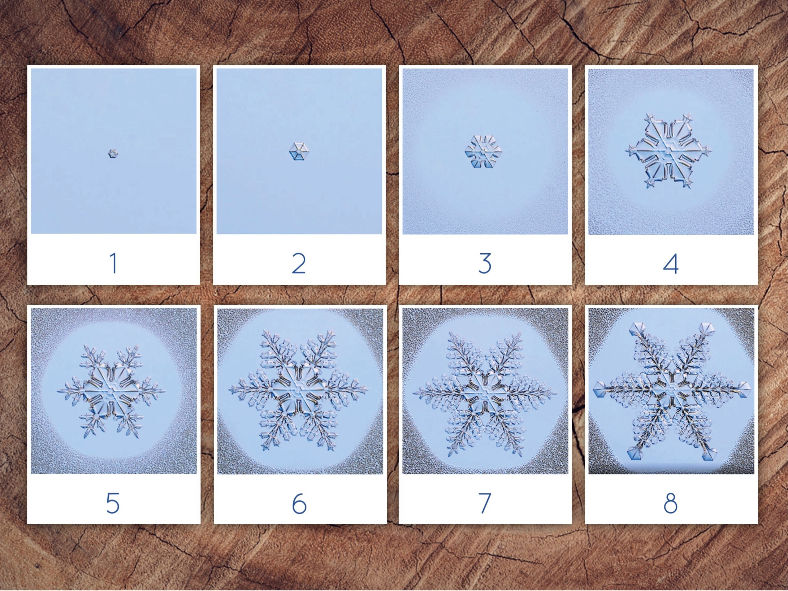 Snowflakes Bundle Preschool Literacy Math DIGITAL DOWNLOAD - Etsy