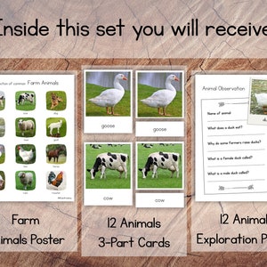 Farm Animals Pack With Extension - Etsy