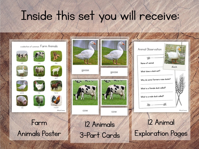 Farm Animals Pack With Extension - Etsy