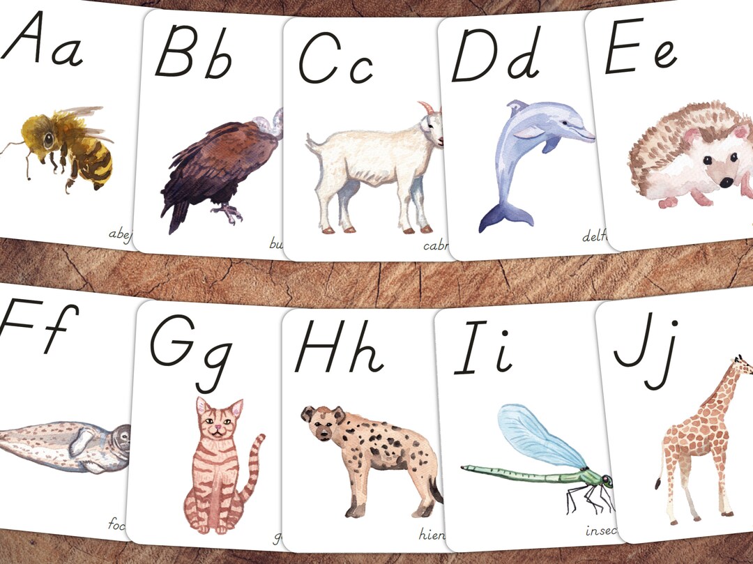 Animals of the World Alphabet Cards SPANISH Animal Nursery - Etsy