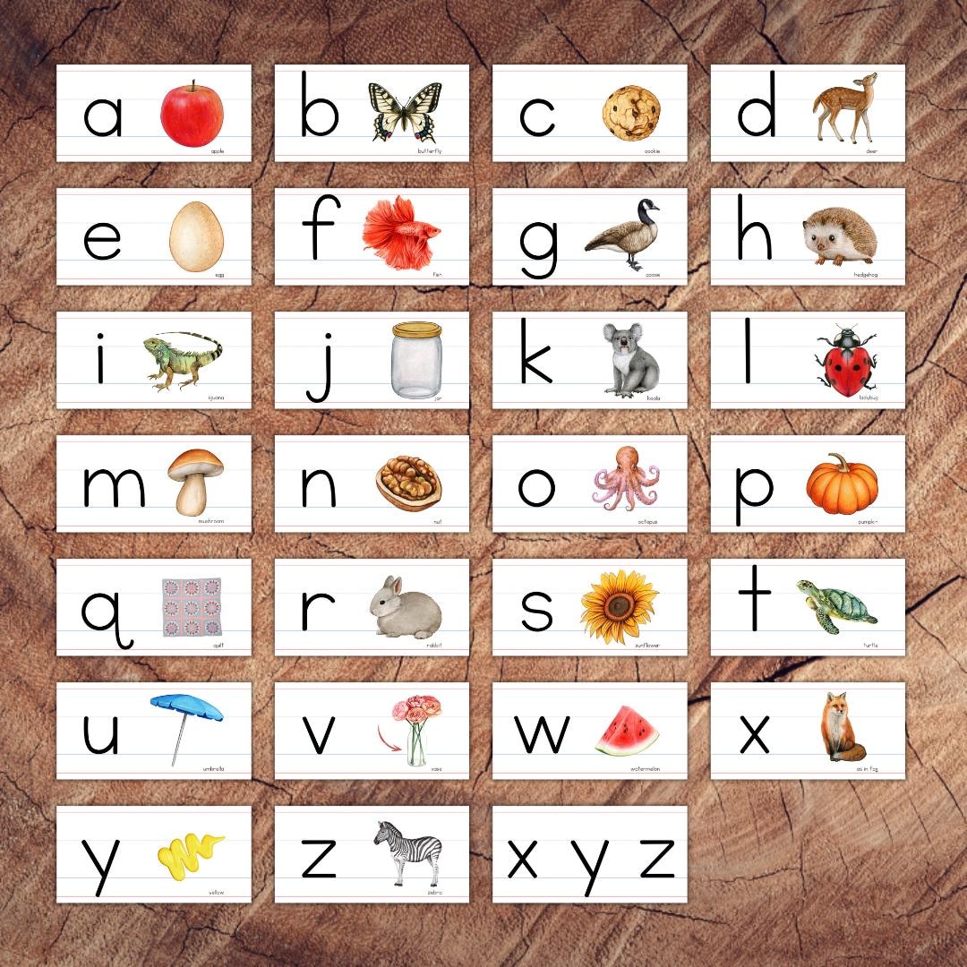 Language Cabinet Labels, Lowercase Lined Manuscript Print Edition - Etsy