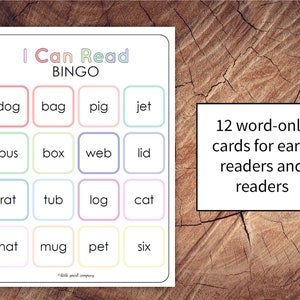 CVC I Can Read Bingo - Inclusive Bingo for All Reading Levels - Etsy