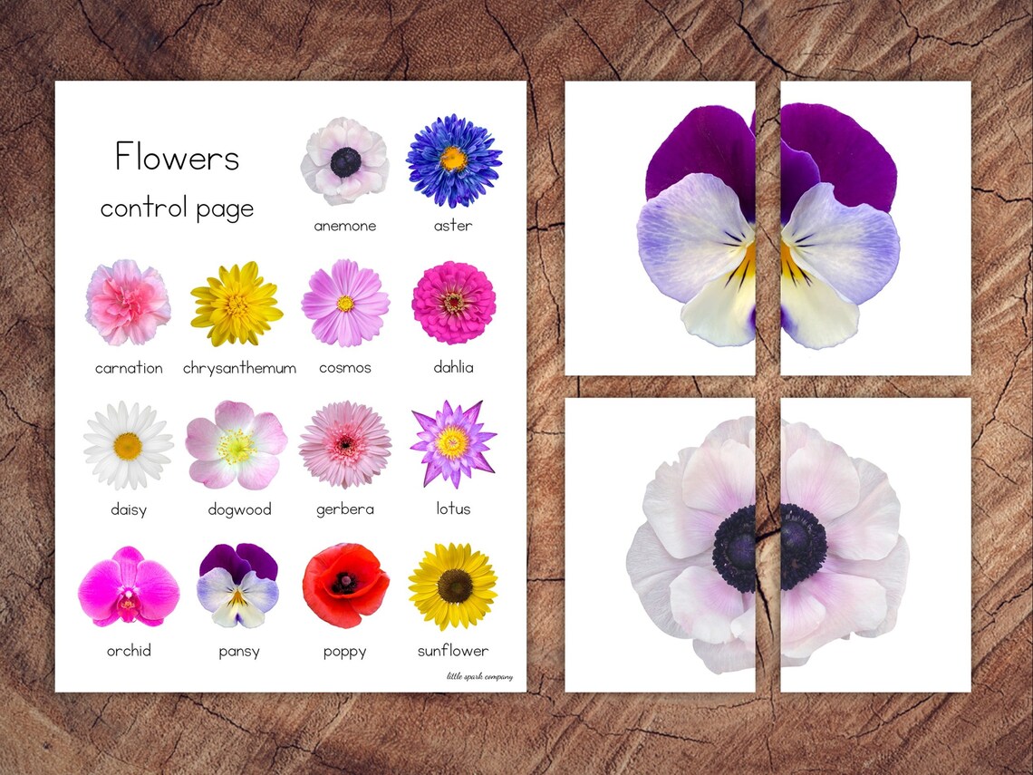 Flower Symmetry Puzzles Matching Cards Toddler Preschool - Etsy