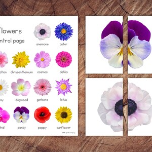 Flower Symmetry Puzzles, Matching Cards, Toddler Preschool Activity - Etsy