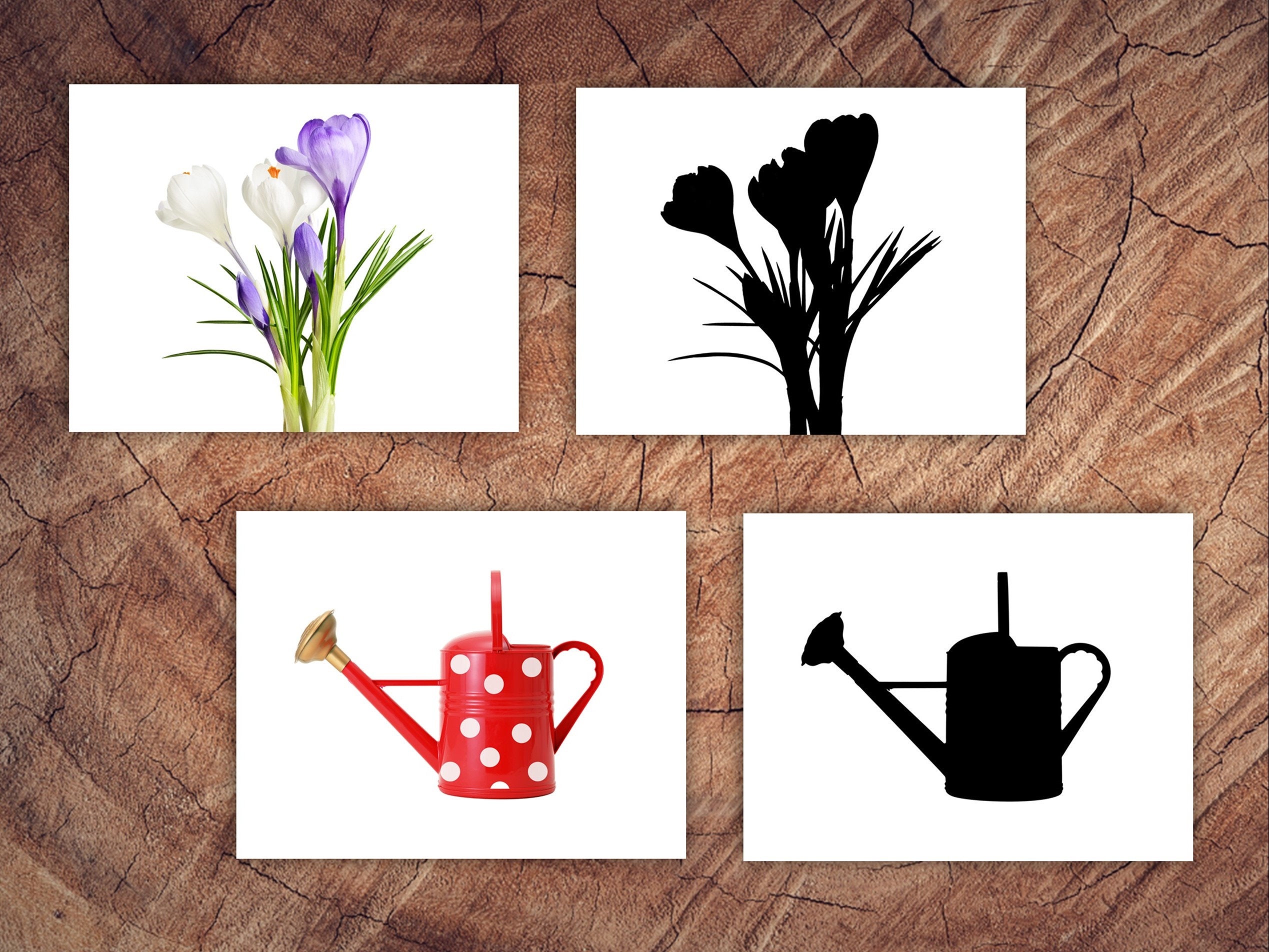 Spring Picture Matching Cards, Silhouette Matching, Toddler Preschool ...