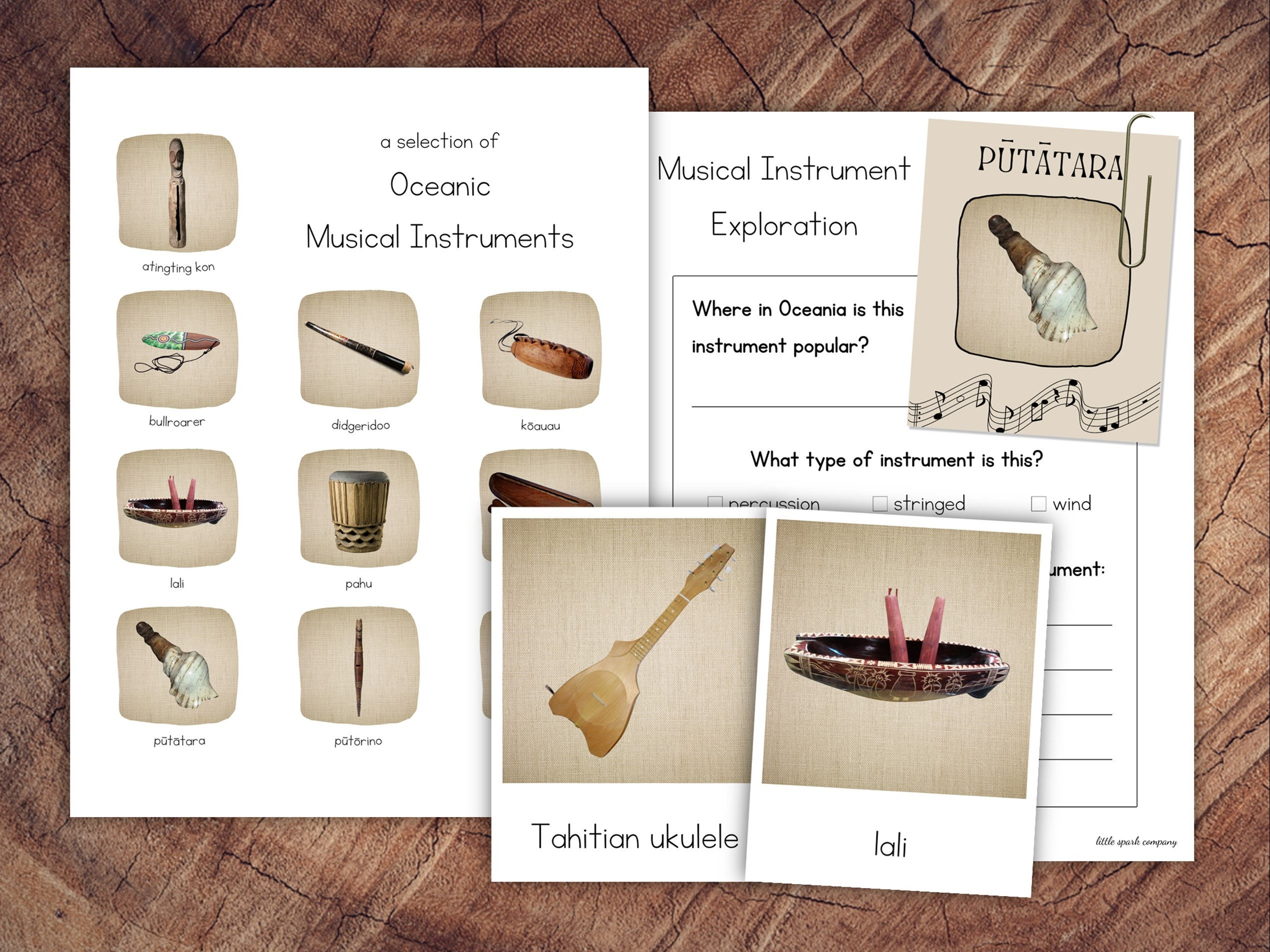 Musical Instruments List