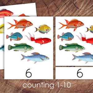 Rainbow Fish Preschool Basics Bundle, Homeschool Printable - Etsy