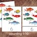 Rainbow Fish Preschool Basics Bundle, Homeschool Printable - Etsy