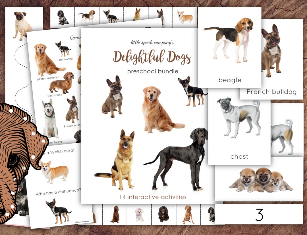 Delightful Dogs Preschool Bundle, Preschool Printable - Etsy