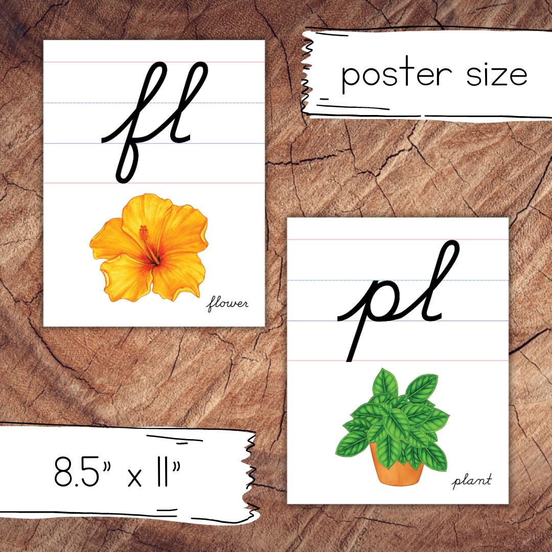Cursive Beginning Blends Posters Lined, Large Format for Classroom Use ...