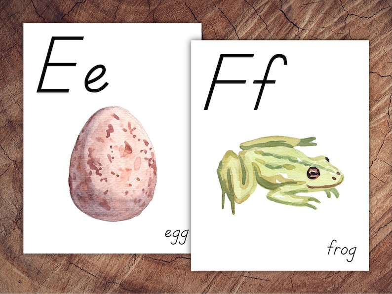 Alphabet Posters D'nealian-style Font, Large Format for Classroom Use ...