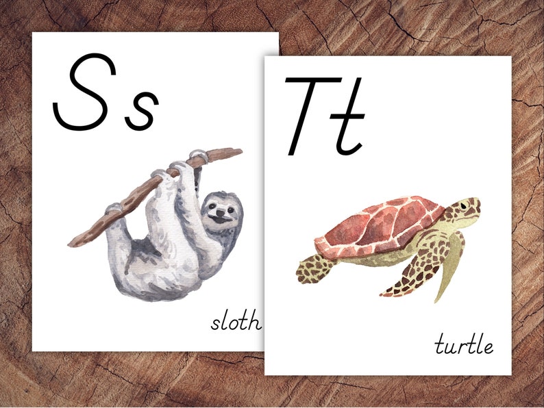 Animals of the World Alphabet Posters D'nealian-style - Etsy