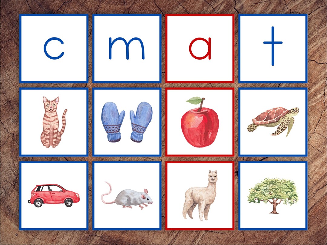 Beginning Letter Sounds Picture Sorting Card Set, Blue Consonants Red ...