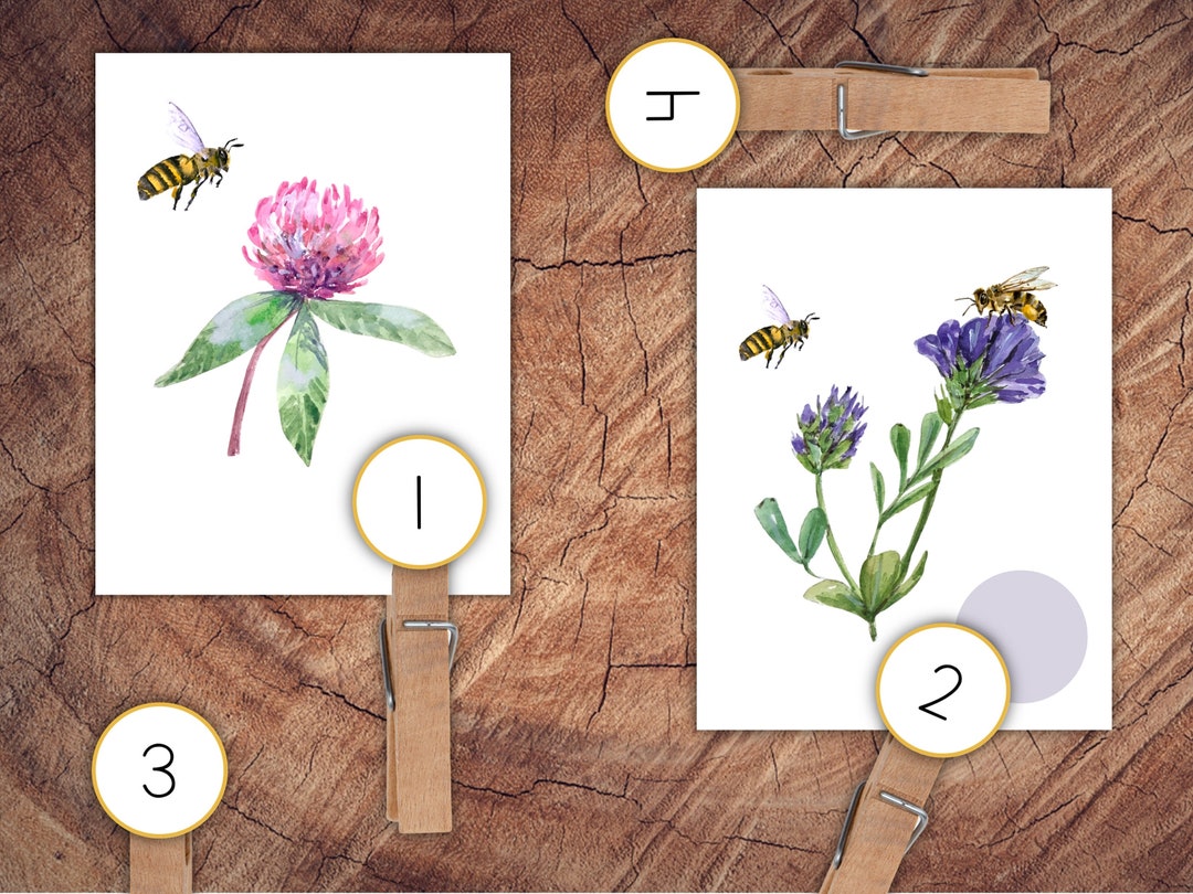 Counting Honey Bees Clip Cards - DIGITAL DOWNLOAD - Etsy