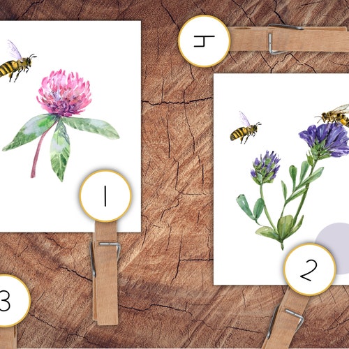 Counting Honey Bees Clip Cards DIGITAL DOWNLOAD - Etsy
