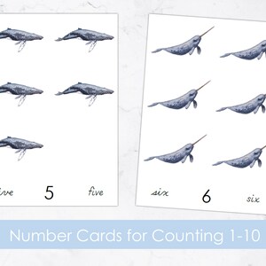 Wonderful Whales Bundle, Preschool Literacy, Math DIGITAL DOWNLOAD - Etsy