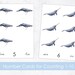 Wonderful Whales Bundle, Preschool Literacy, Math DIGITAL DOWNLOAD - Etsy