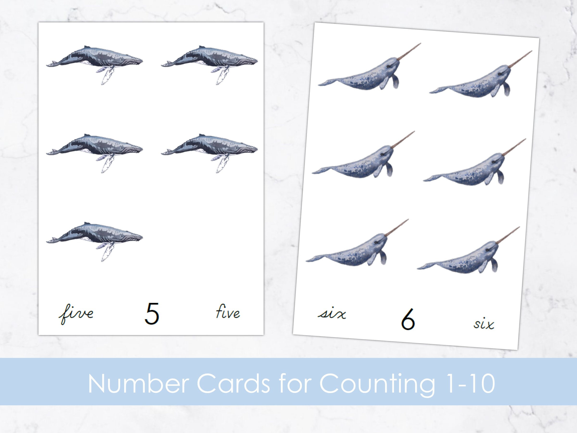 Wonderful Whales Bundle, Preschool Literacy, Math DIGITAL DOWNLOAD - Etsy