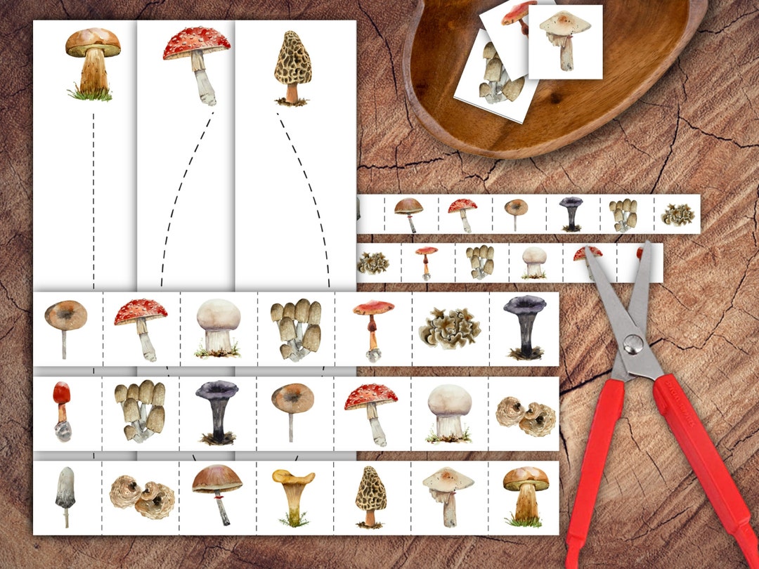Wild Mushrooms Scissor Strips Set, Preschool Scissor Practice - Etsy