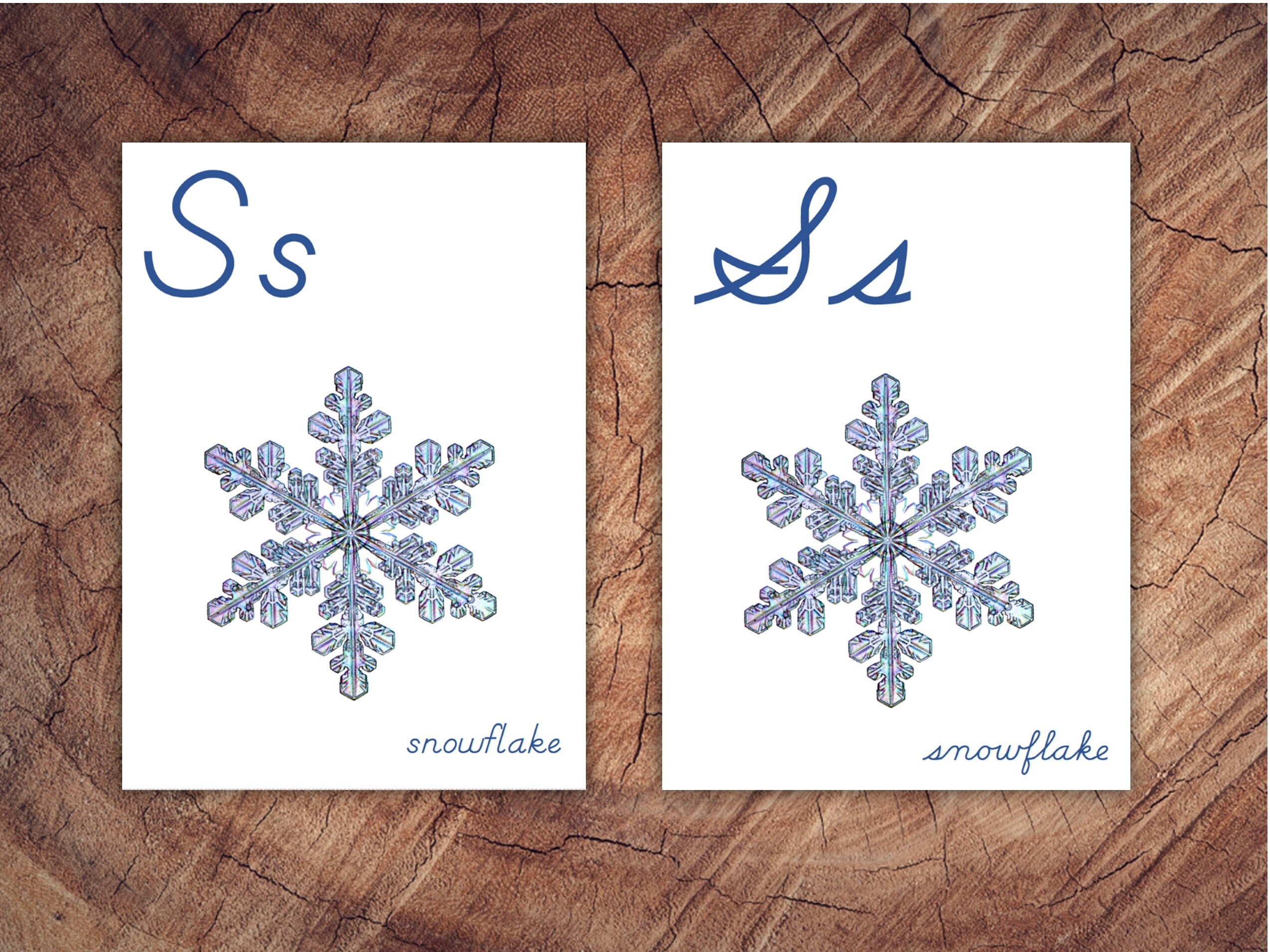 Snowflakes Bundle Preschool Literacy Math DIGITAL DOWNLOAD - Etsy