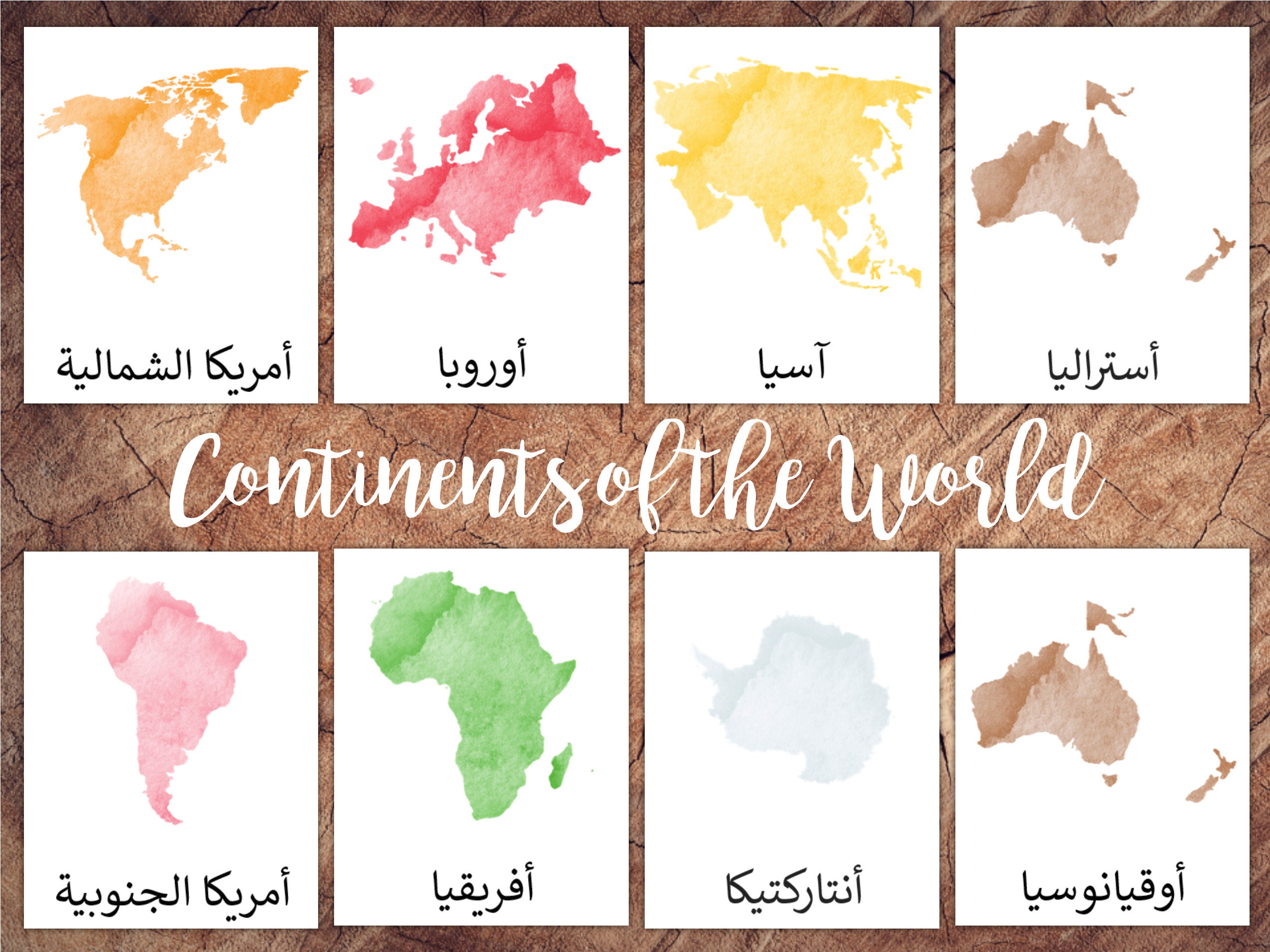 ARABIC Continents of the World 3-part Card Set Montessori | Etsy