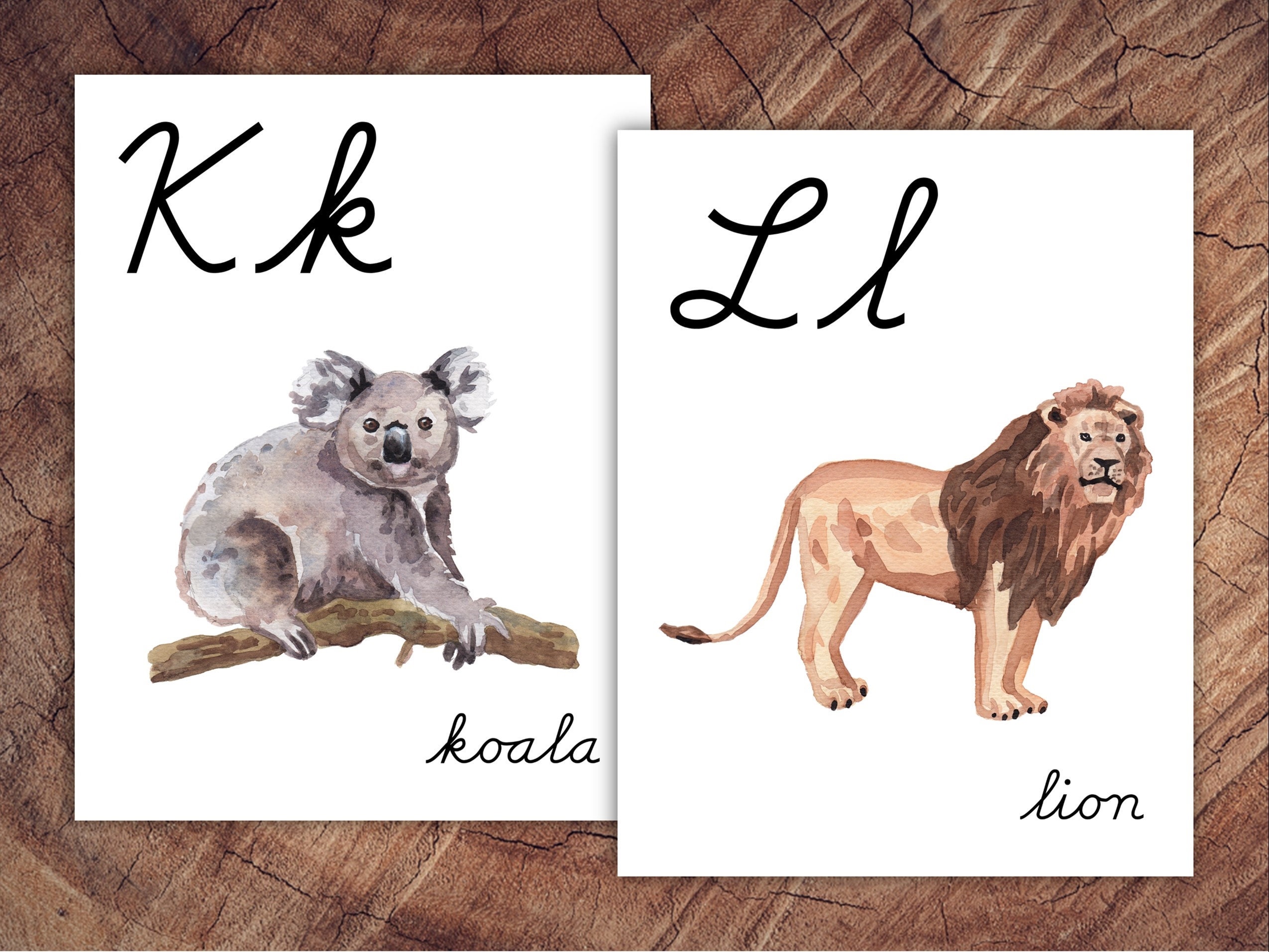 Animals of the World Alphabet Posters, CURSIVE, Large Format for ...