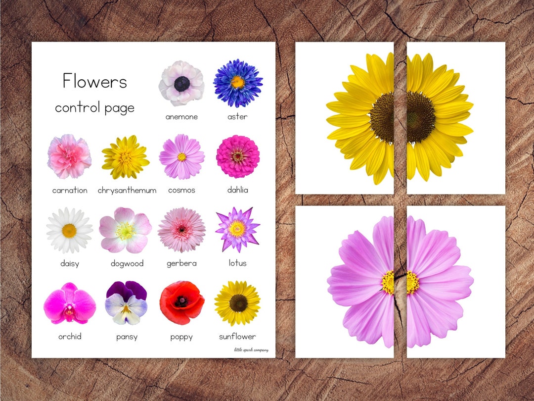 Flower Symmetry Puzzles, Matching Cards, Toddler Preschool Activity - Etsy