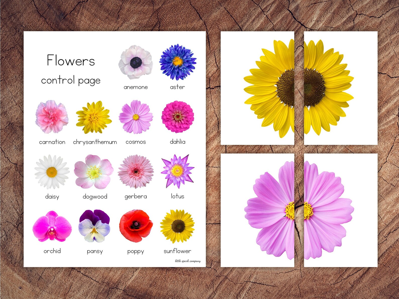 Flower Symmetry Puzzles, Matching Cards, Toddler Preschool Activity - Etsy
