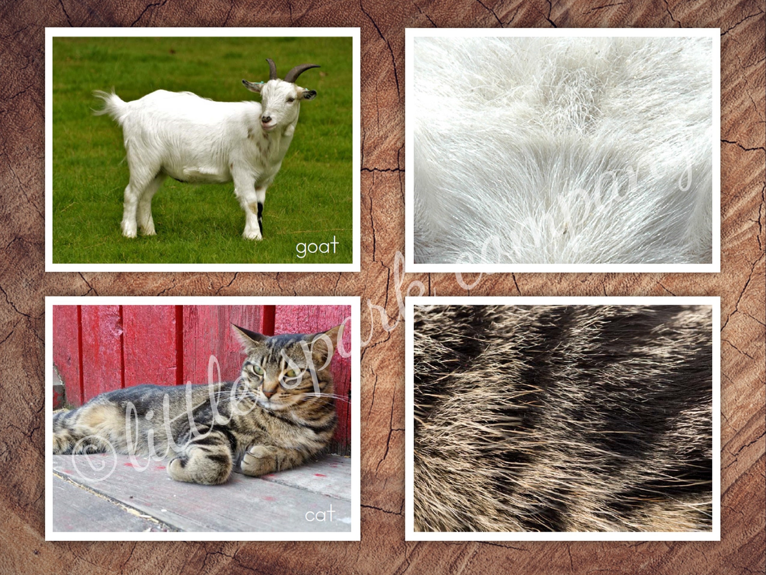 Farm Animals Fur Skin Pattern Matching Toddler Preschool - Etsy Canada