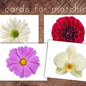 Flower Symmetry Puzzles Matching Cards Toddler Preschool | Etsy