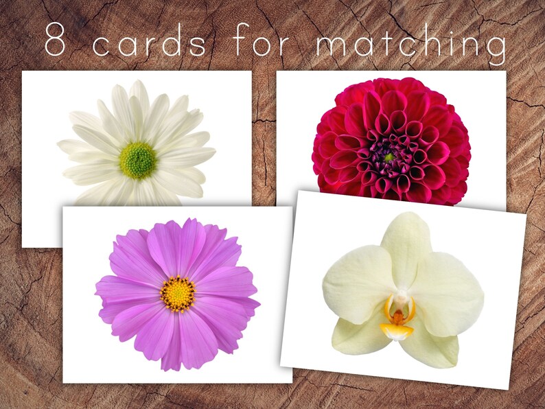 Flower Symmetry Puzzles Matching Cards Toddler Preschool | Etsy