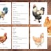 Chickens Bundle Preschool Literacy Math DIGITAL (Download Now) - Etsy