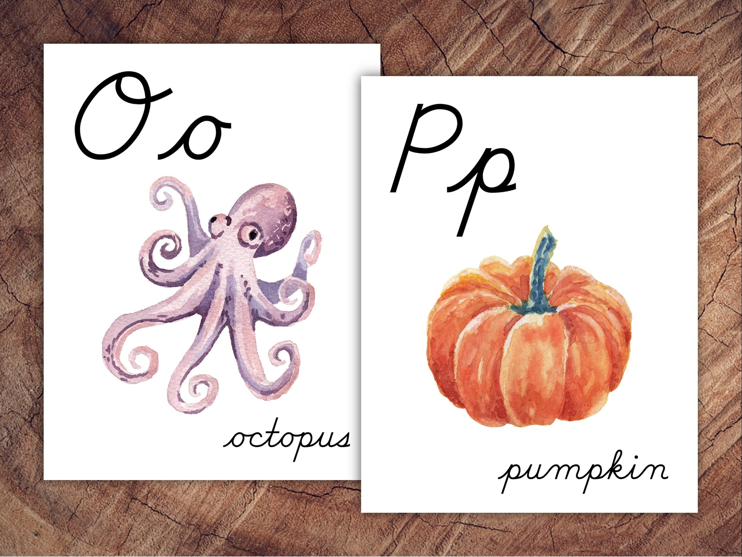 Cursive Alphabet Posters Large Format for Classroom Use | Etsy