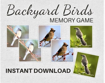 Bird Biome Cards - Etsy