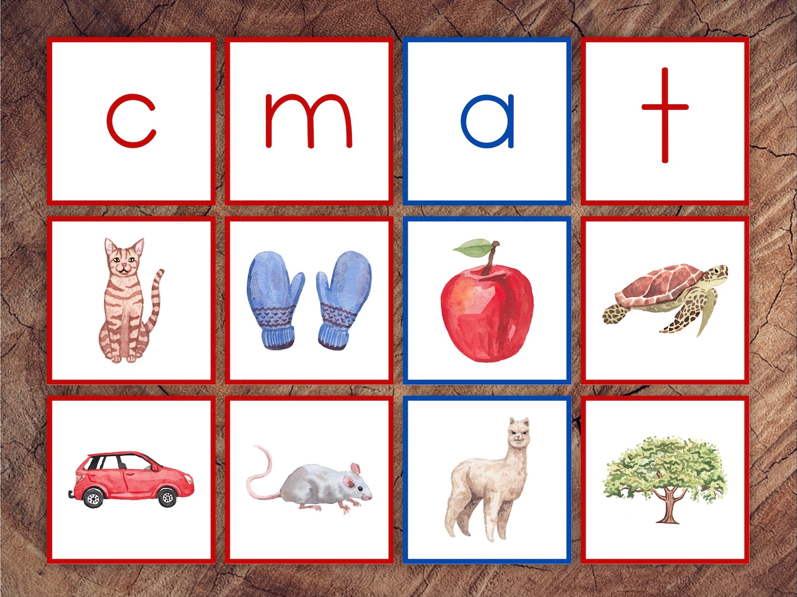 Beginning Letter Sounds Picture Sorting Card Set, Red Consonants Blue ...
