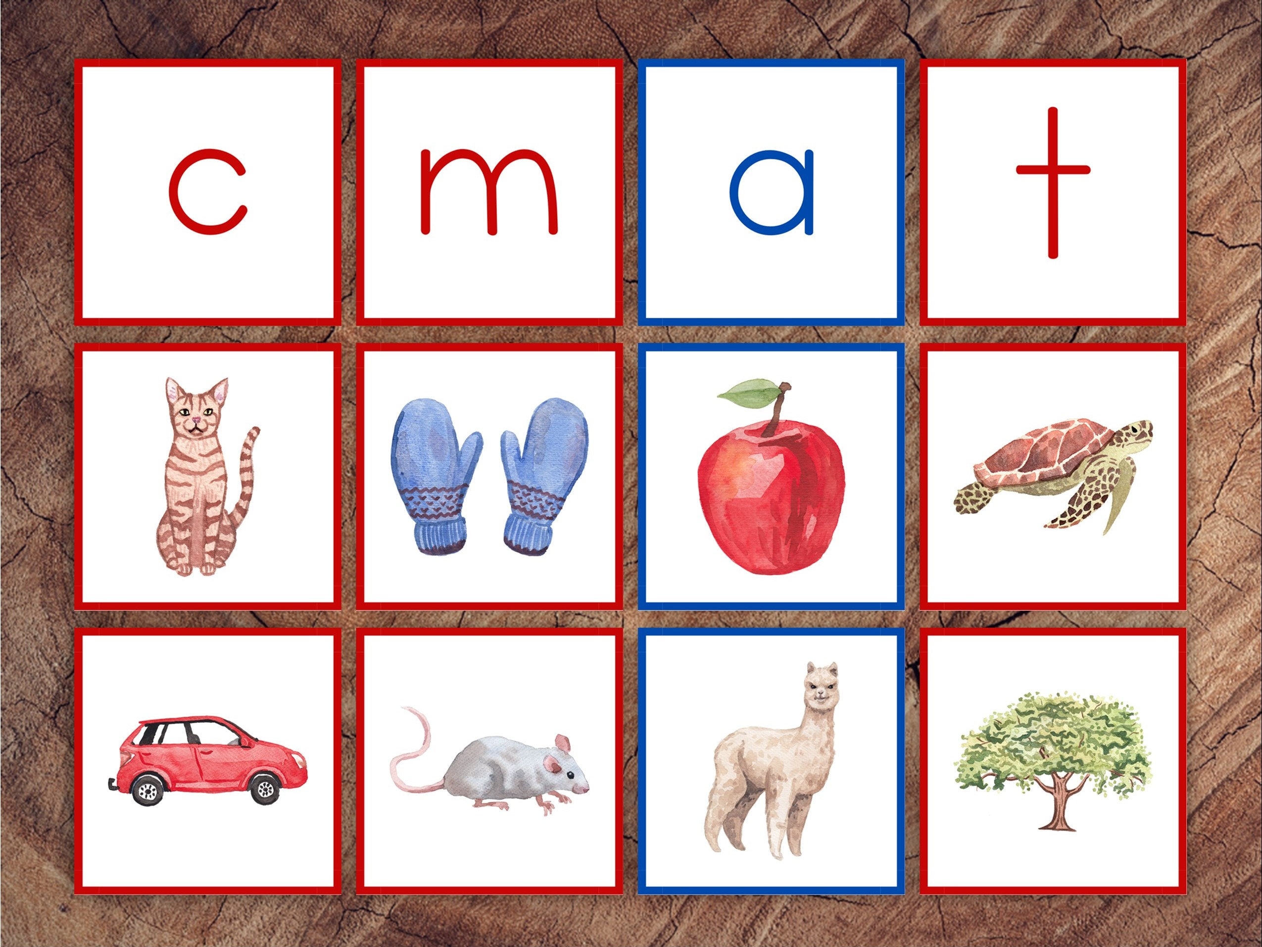 Beginning Letter Sounds Picture Sorting Card Set, Red Consonants Blue ...
