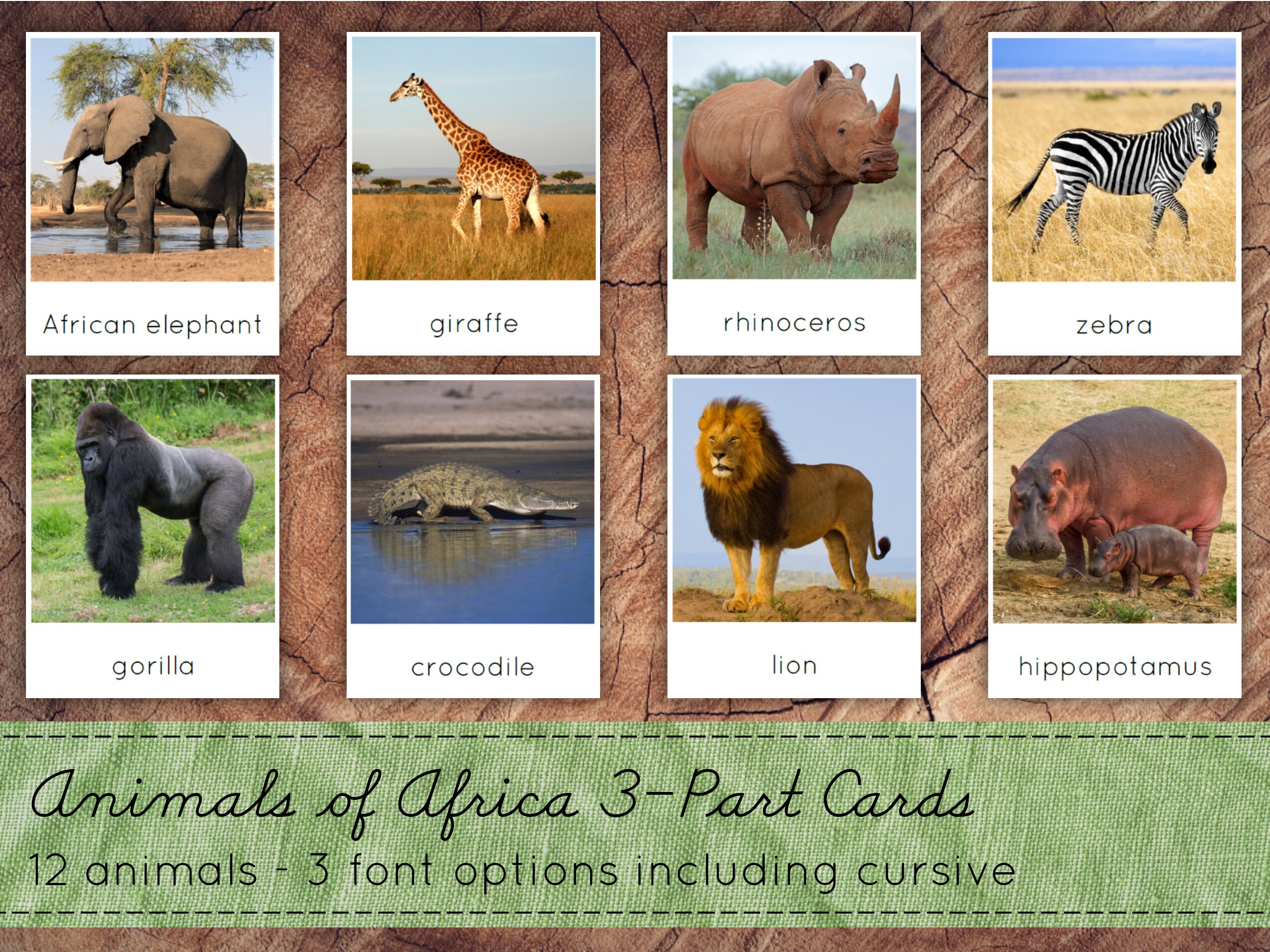 African Animals 3-Part Cards Montessori Nomenclature Cards | Etsy