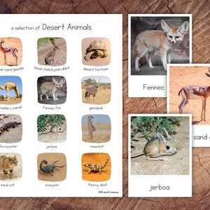 Desert Animals Pack With Extension - Etsy