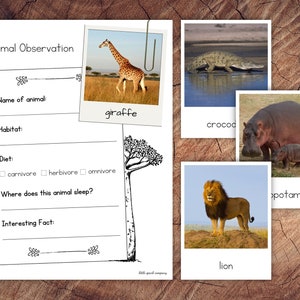 African Animals Pack With Extension - Etsy