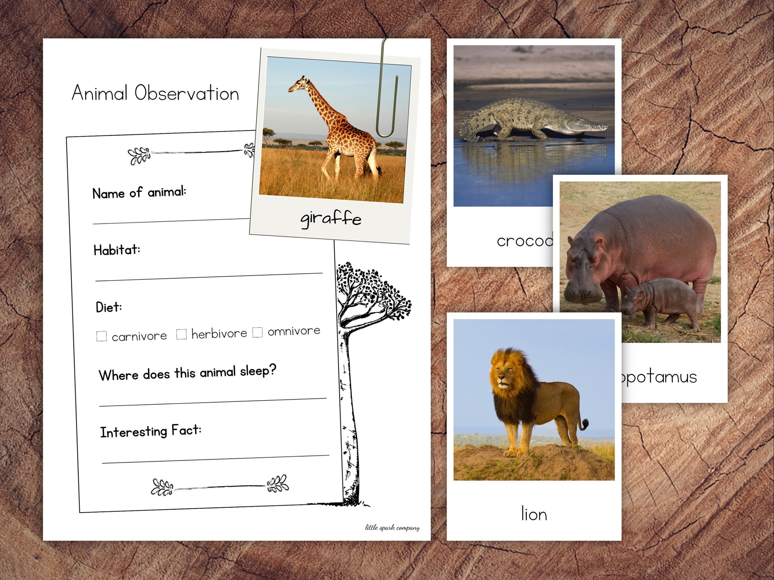 African Animals Pack With Extension - Etsy