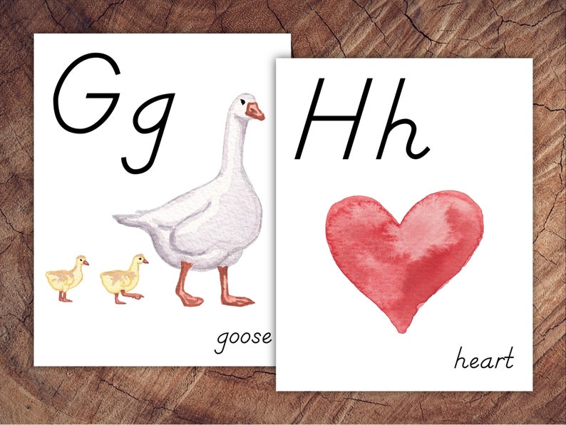 Alphabet Posters D'nealian-style Font, Large Format for Classroom Use ...